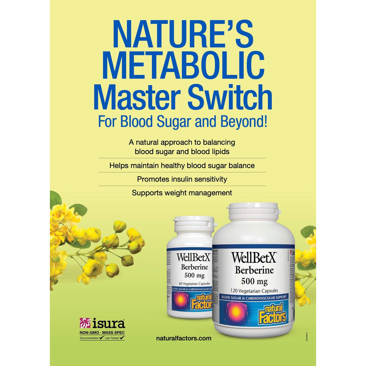 Berberine WellBetX® 500 mg – Healthtree