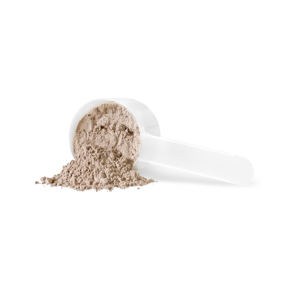 Iron Vegan Athlete's Blend Natural Chocolate – Healthtree