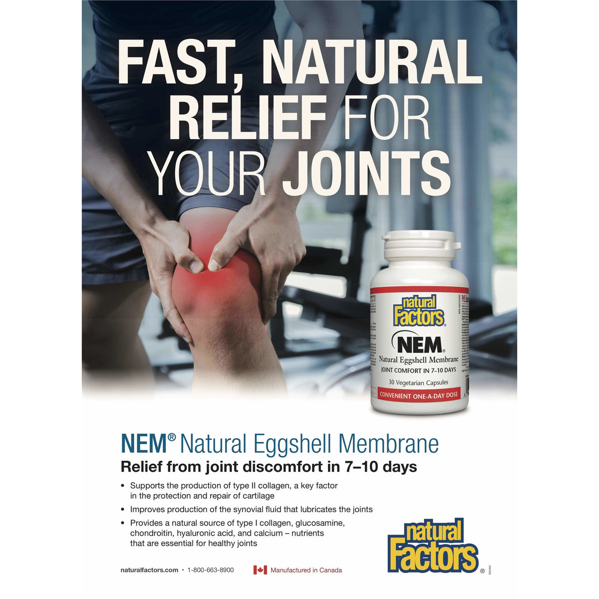 NEM® Natural Eggshell Membrane 500 mg Capsules – Healthtree