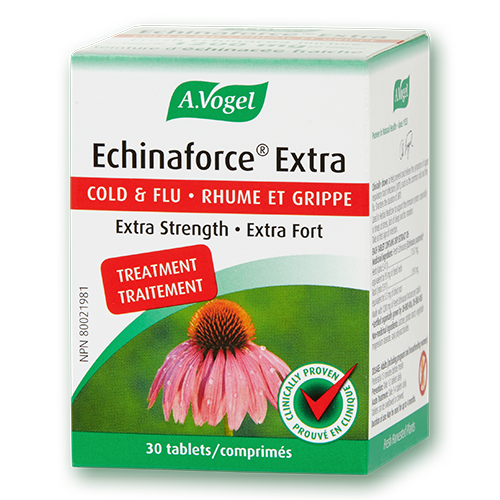 LIQUIDATION - A.Vogel Echinaforce® Extra - FINAL SALE*** – Healthtree