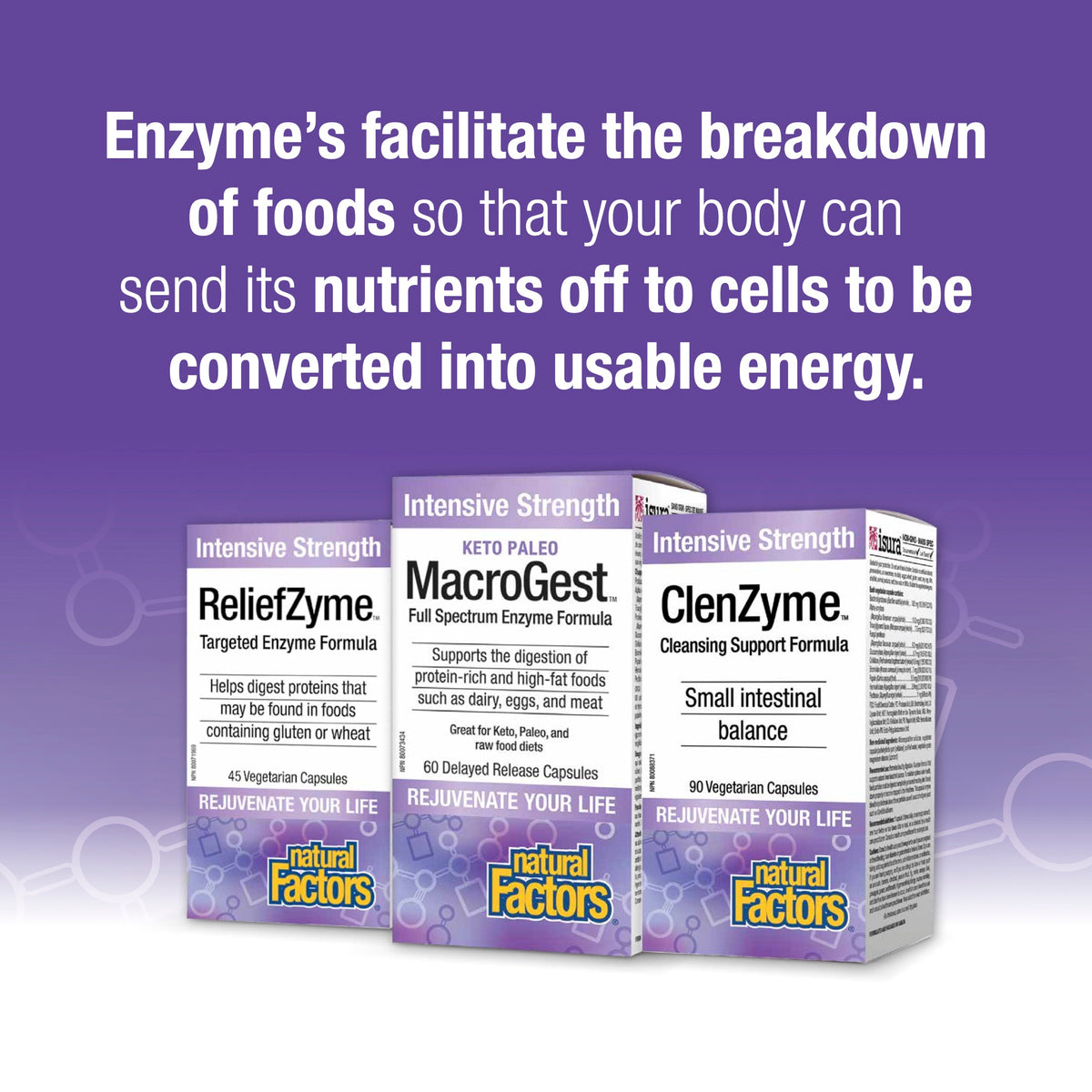 ClenZyme™ Candida Enzyme Formula Vegetarian Capsules – Healthtree